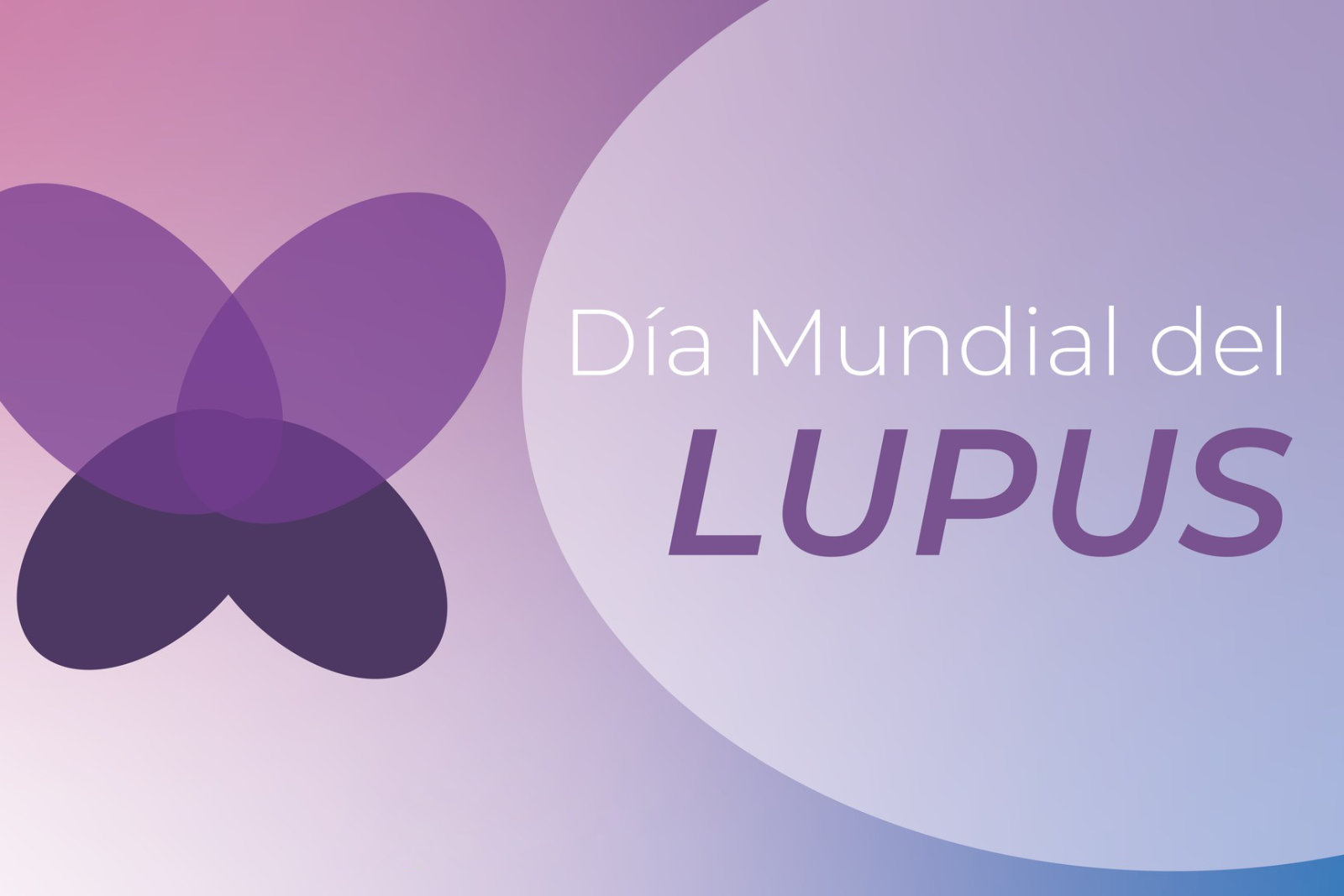 Más de 100.000 personas en España padecen lupus - Sociedad Valenciana ...